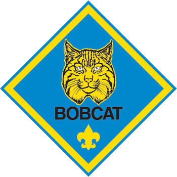 Bobcat | Cub Scout Pack 1776 Mayfair Philadelphia